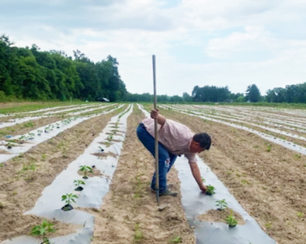 Michigan Good Food Fund Announces Latest Seed Award Winners - Michigan ...