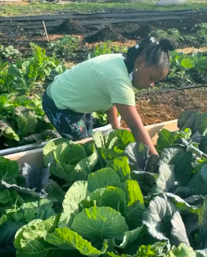 Seed Award Spotlight: Treetop Grows Farms - Michigan Good Food Fund